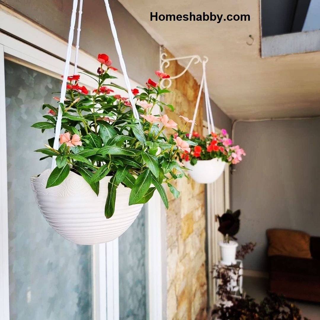 7 Bunga yang Cocok digantung di Teras Rumah Minimalis Modern ...