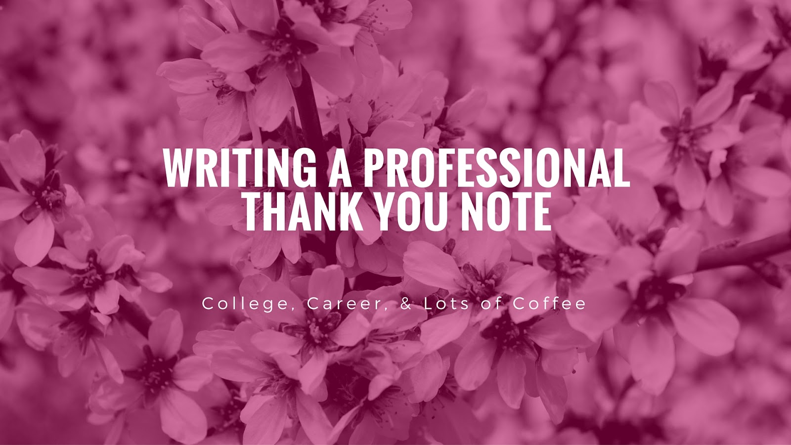 Writing A Professional Thank You Note College Career Lots Of Coffee writing-a-professional-thank-you-note-college-career-lots-of-coffee