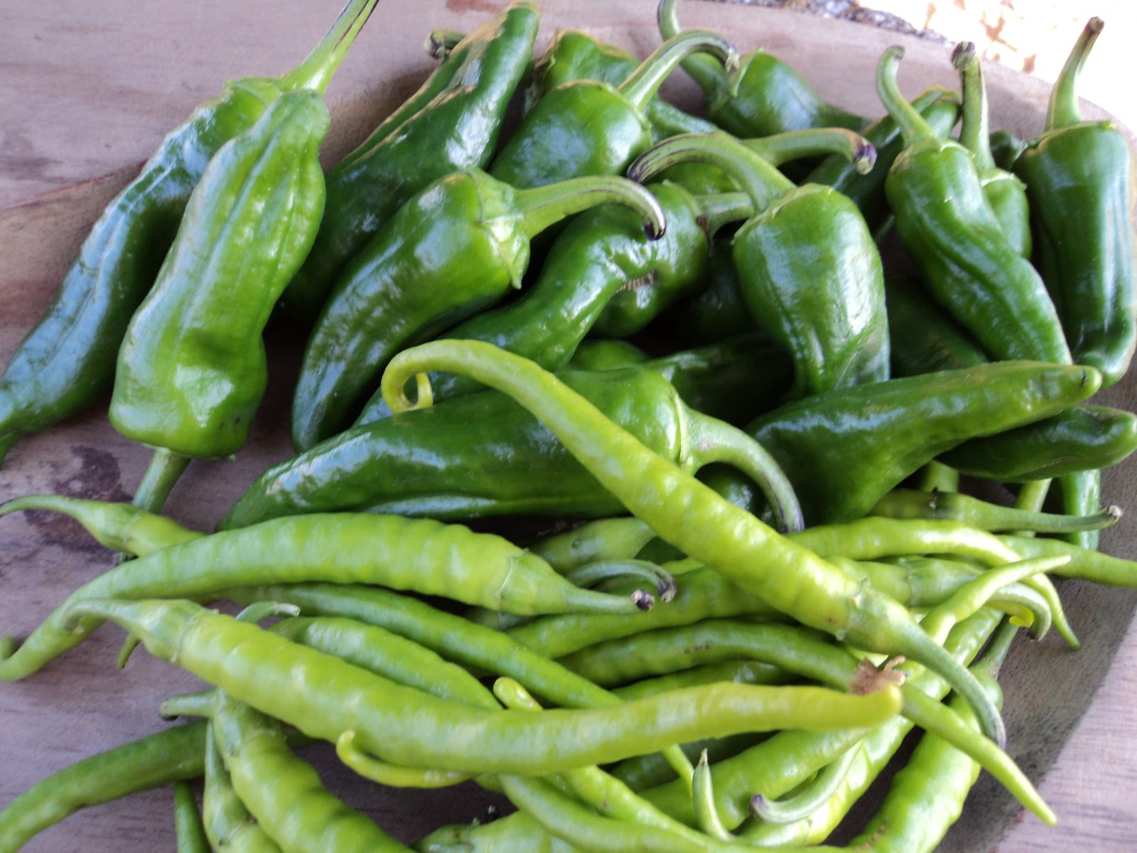 blogmiren: Piparrak , guindillas vascas : cómo conservarlas en vinagre.