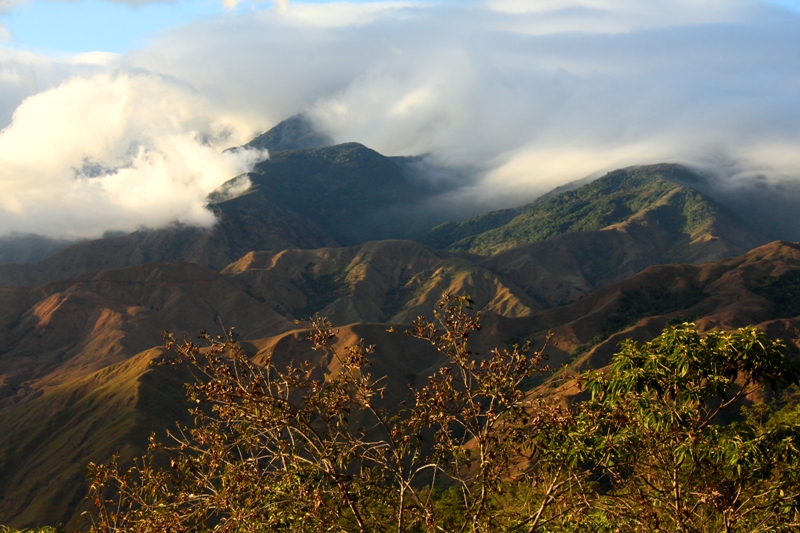 Costa Rica en famille (2011-2012): Durika... "L'EXPÉRIENCE" ULTIME