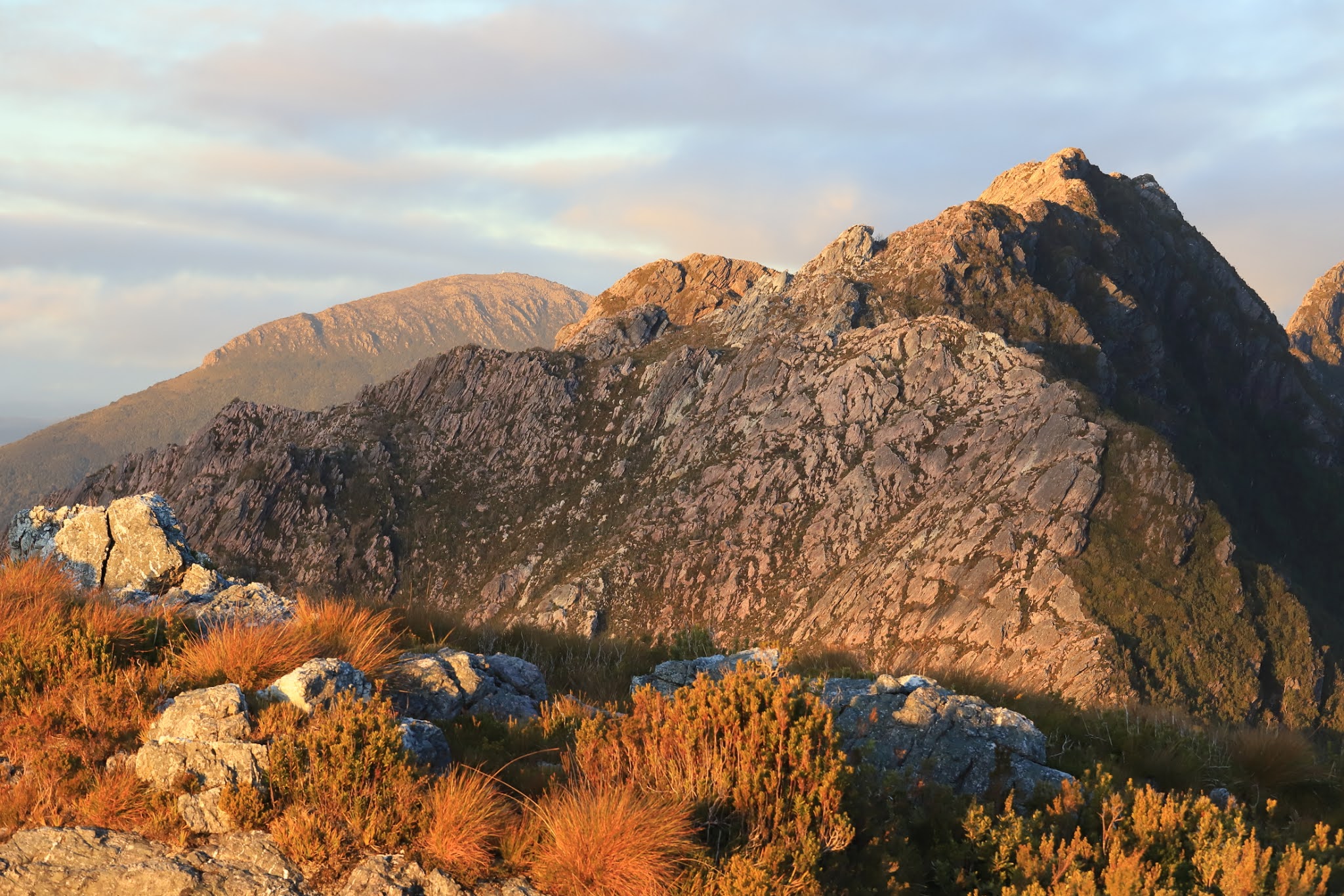 awildland: Standing Guard - The Sentinel Range, Tasmania