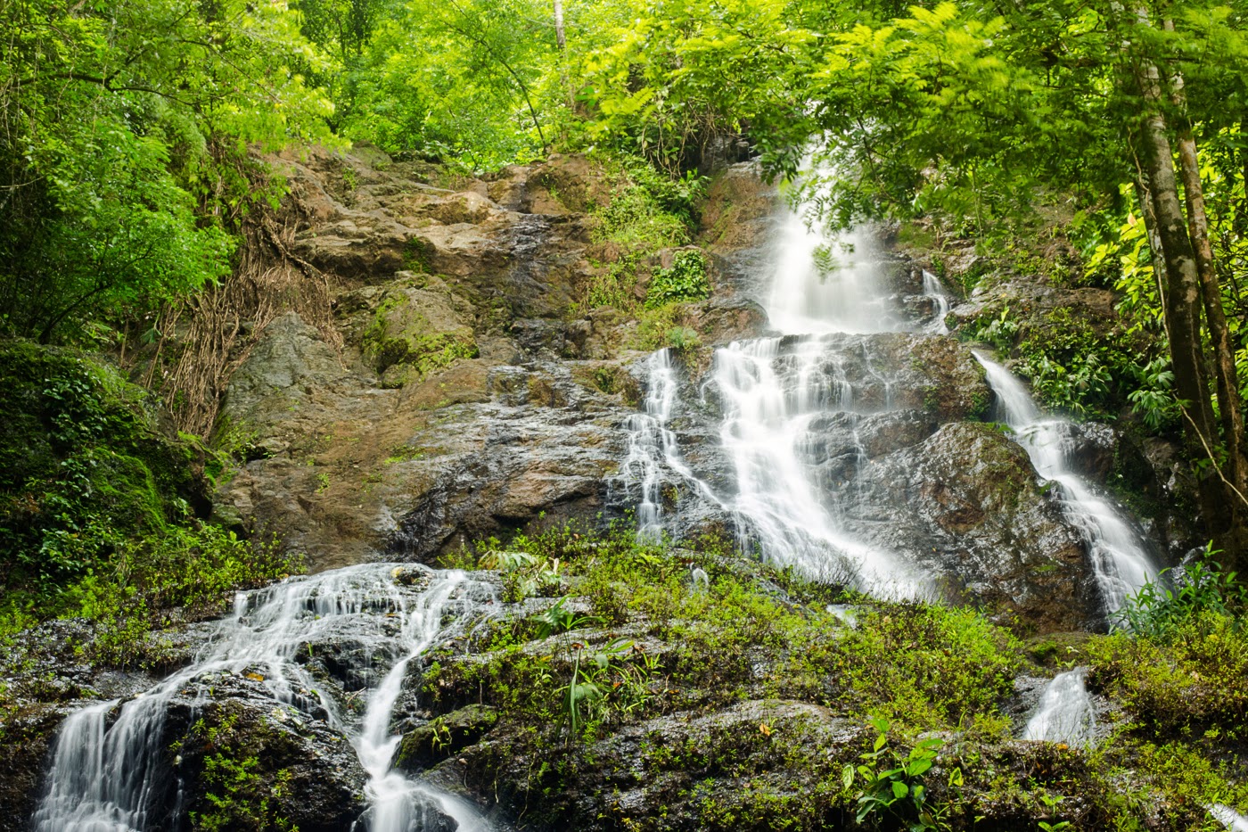 Costa Rica Invest: Waterfall in Naturewalk