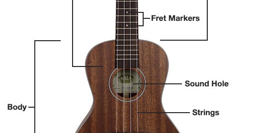 UKULELE MASTER CLASS: PARTS OF THE UKULELE