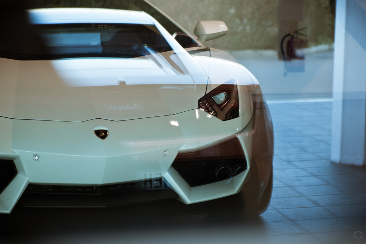 ANIMALS: Lamborghini Aventador