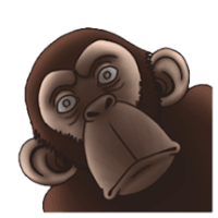 Emoticon Lucu Gambar Monyet PNG