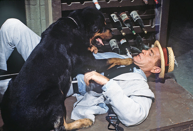 John Kenneth Muir's Reflections on Cult Movies and Classic TV: Kolchak ...