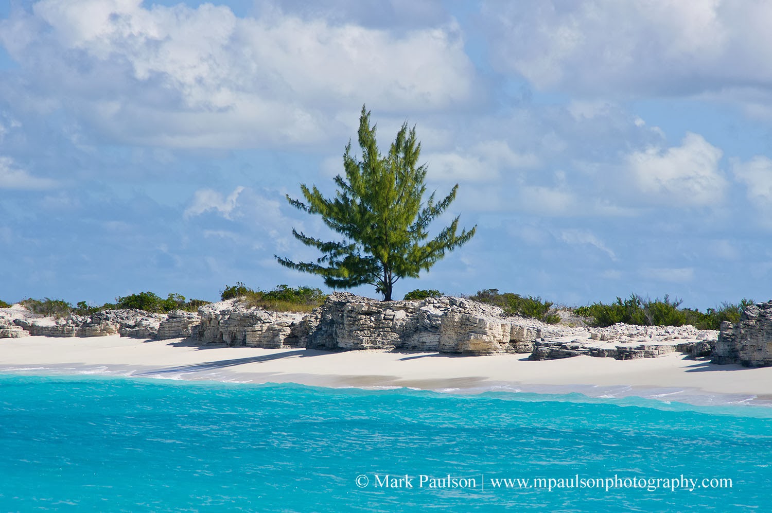 MAP Artistic Photography: 12/22/13 - 12/29/13