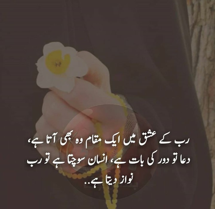 Whatsapp Status In Urdu One Line Islamic at Tyra Lopez blog