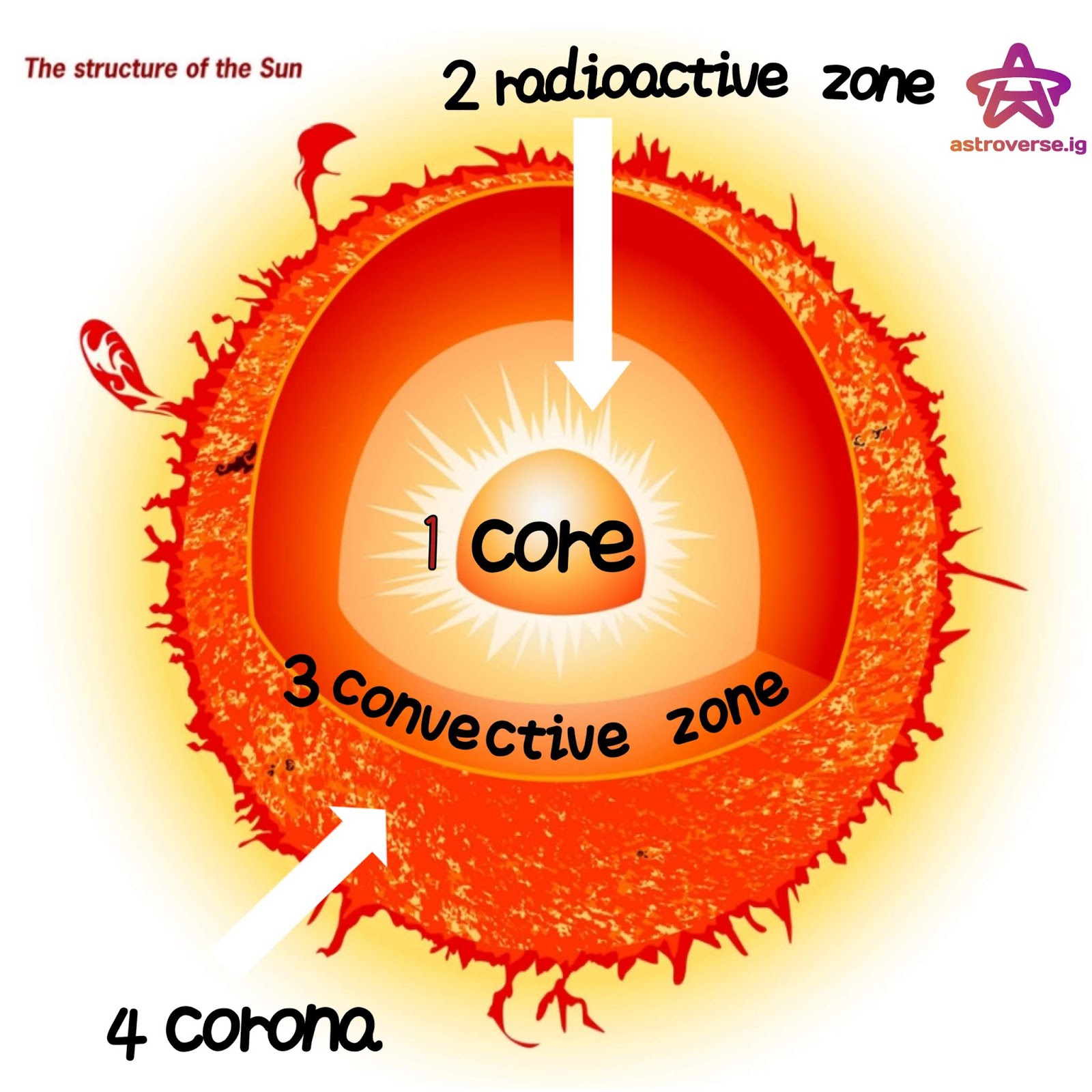 Structure Of The Sun
