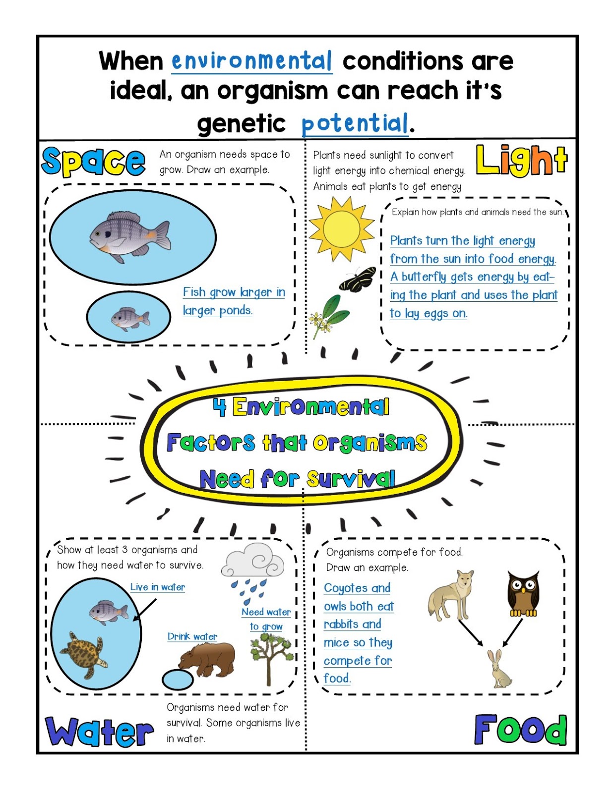 New Product! Environmental & Genetic Factors & the Growth of Organisms ...