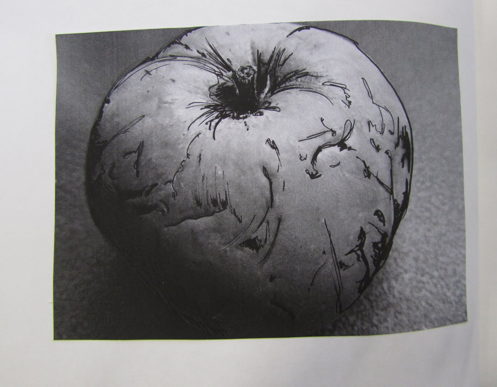 Harriet Connolly Portfolio