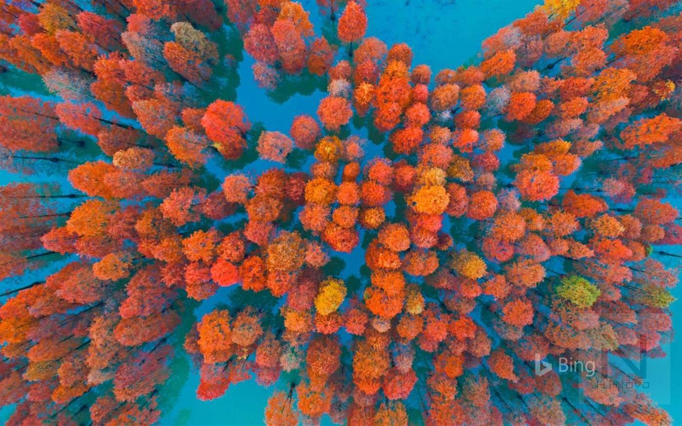 Download Best of Bing 2018 Exclusive, Tema per Windows 10