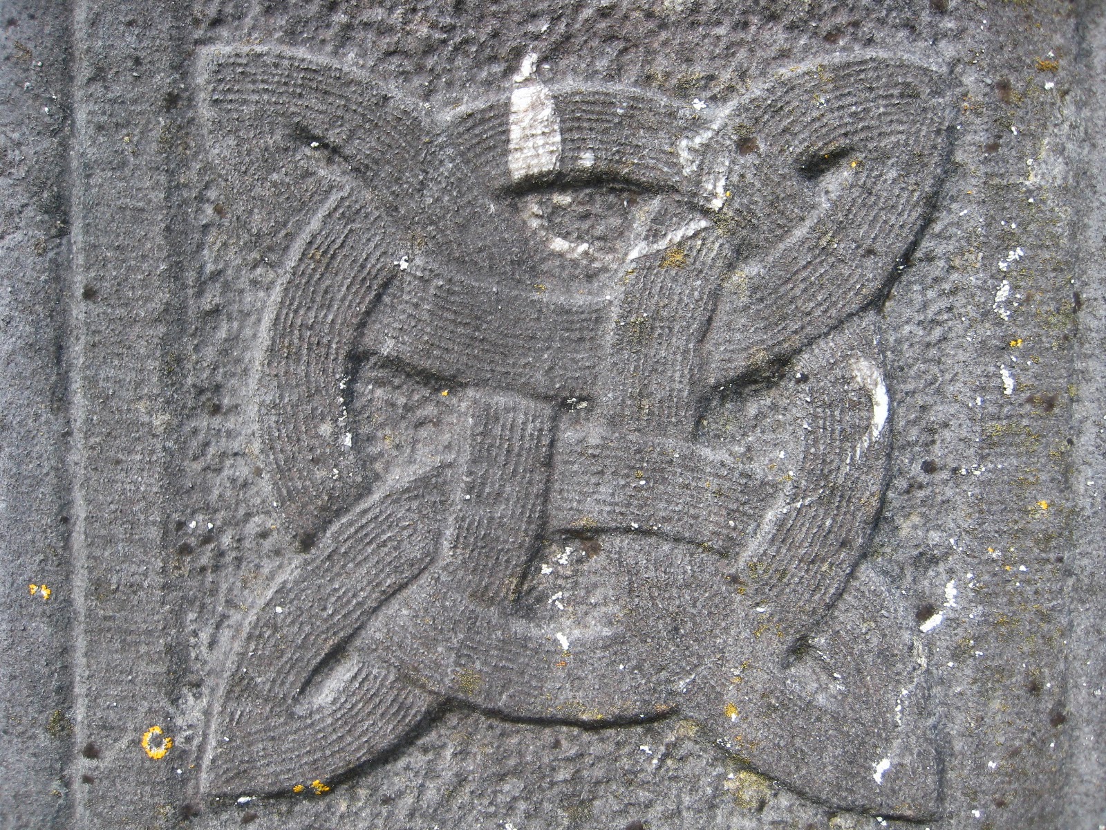 Family History: Celtic Knot