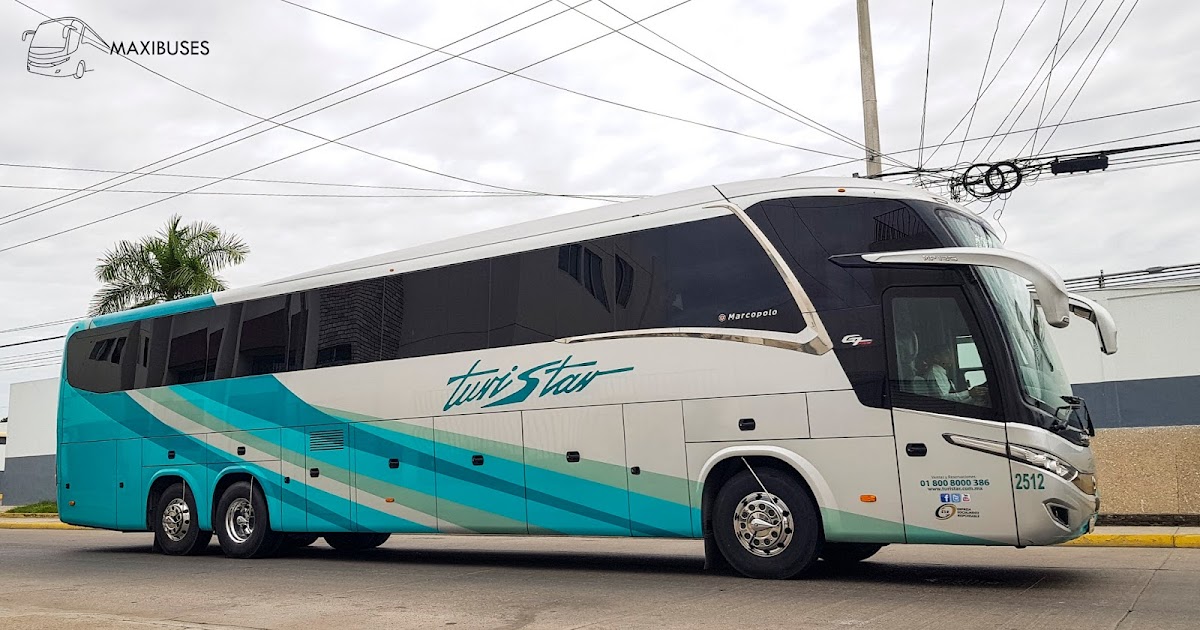 MAXIBUSES: TURISTAR