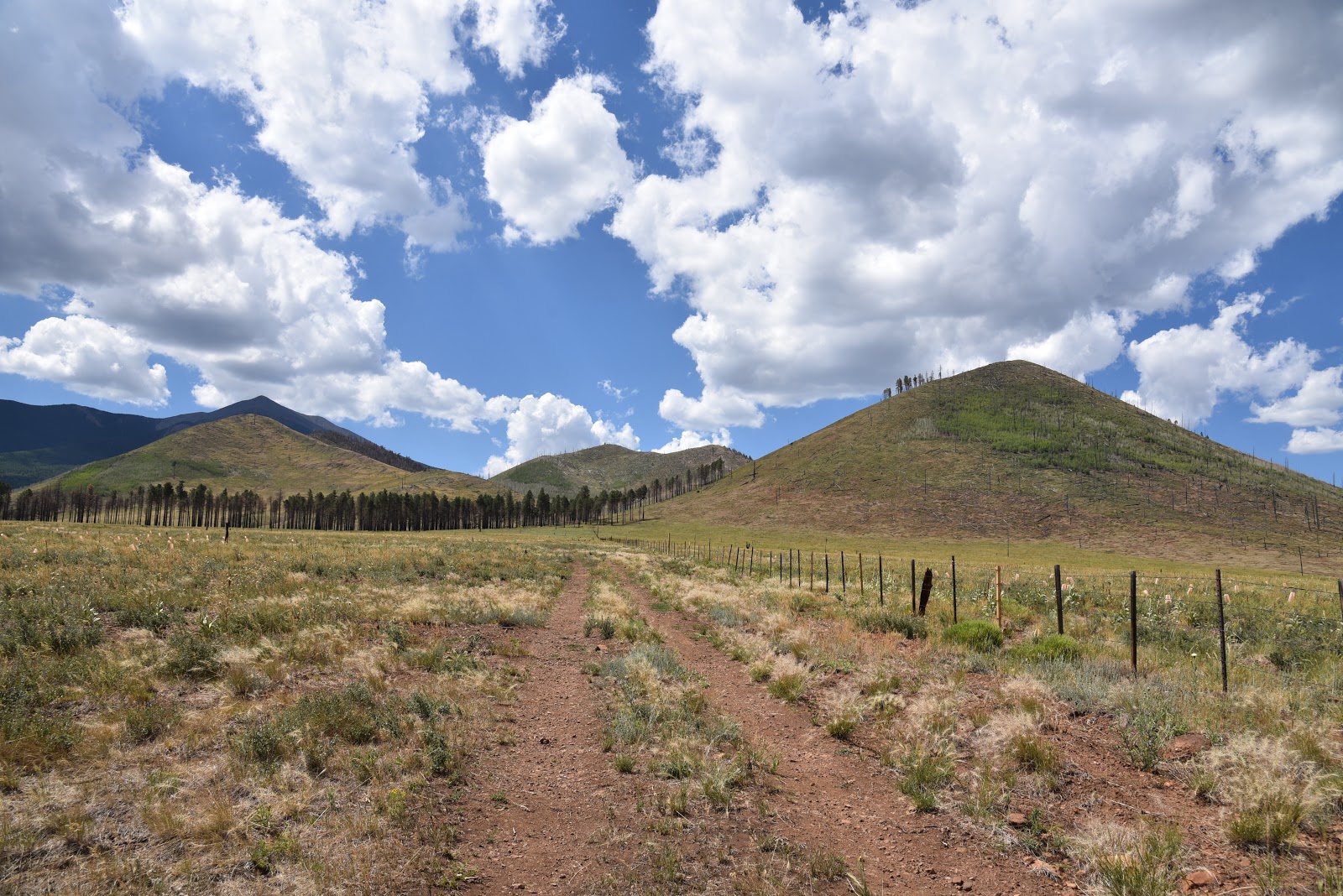 Arizona Hiking: White Horse Hills
