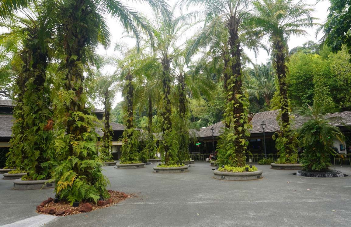 Gallop Extension, Botanic Gardens: Getting There, Map, Top attractions, FAQ