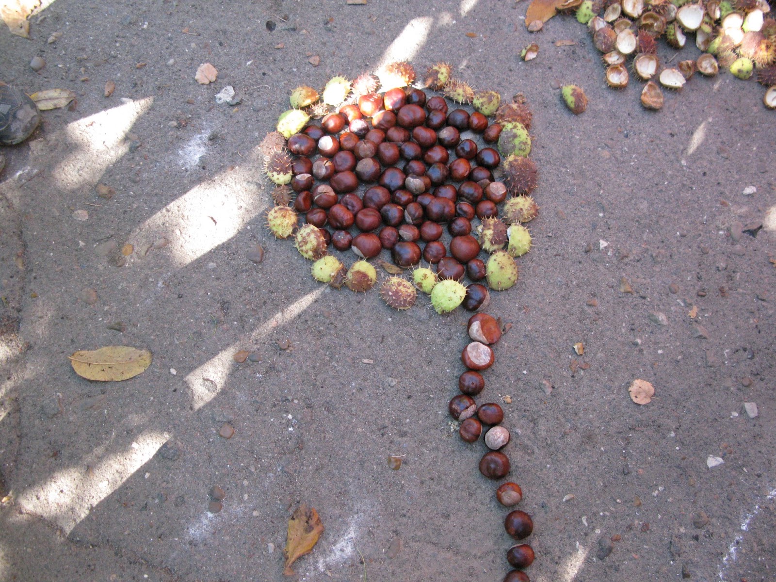 Zbucium nesfârşit: Activități cu castane