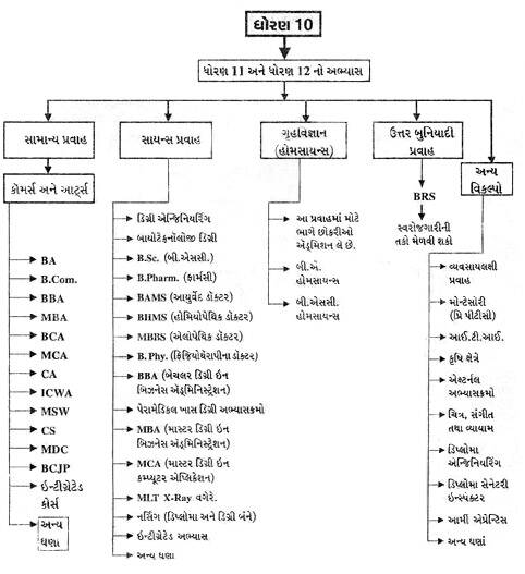 NILESH JADAV: WHAT AFTER 10TH AND 12TH :- CAREER CHART