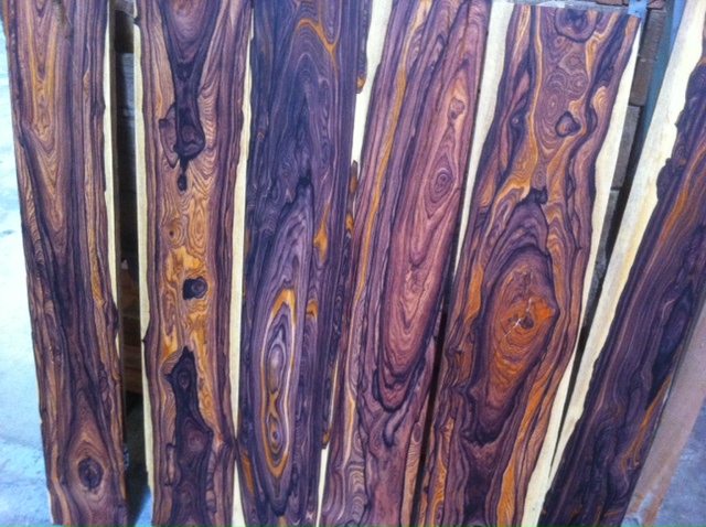 Tropical Exotic Hardwoods: Highly figured cocobolo!