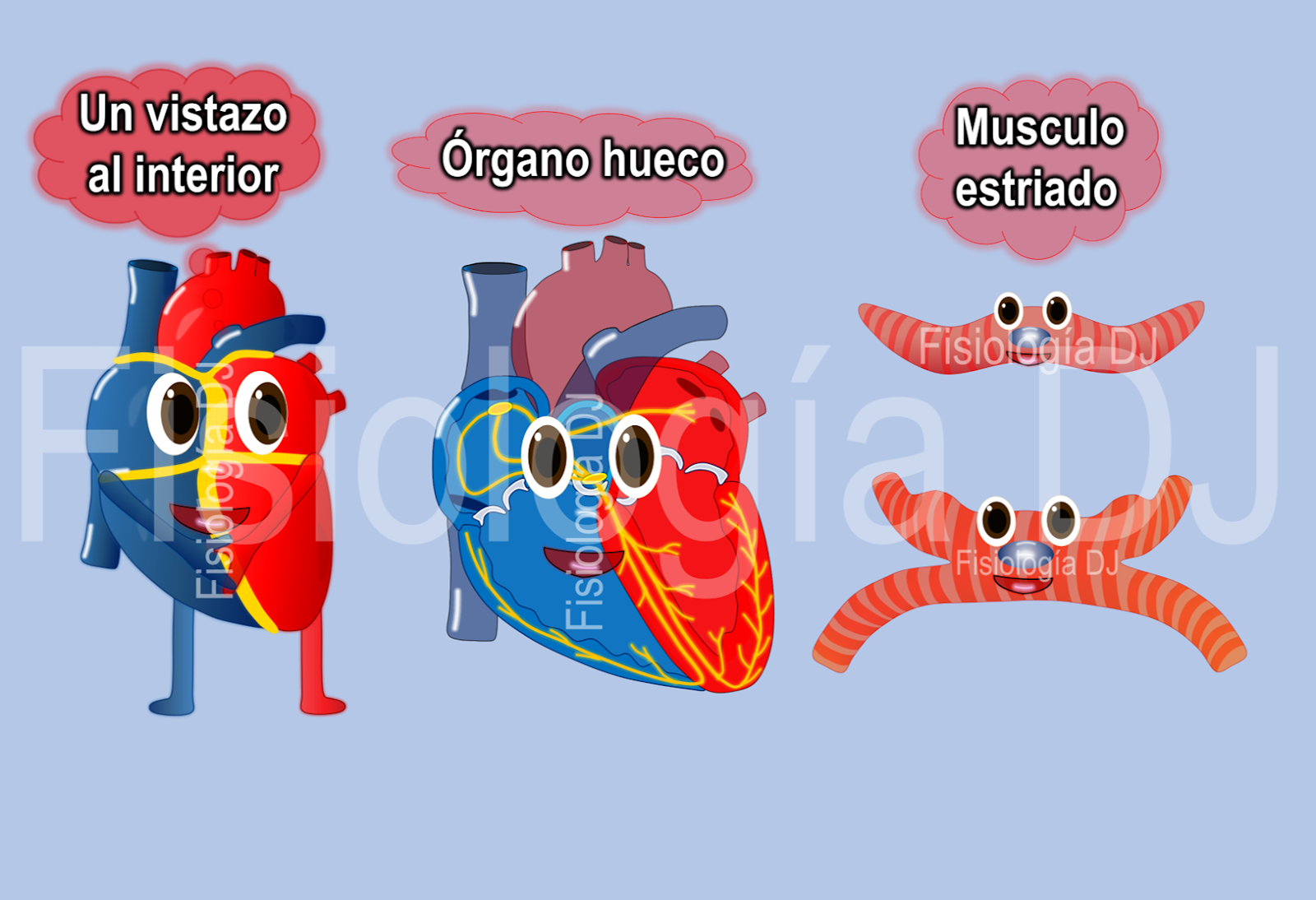 Fisiología DJ: Fisiología cardíaca