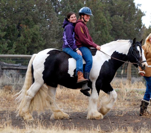 A Dream Come True: From Fat Pony to.... Fat Pony :)