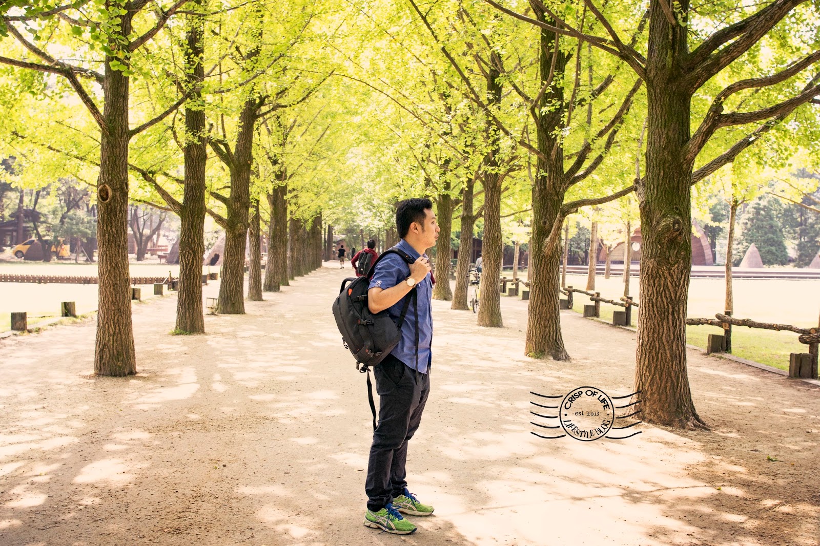 Nami Island & Garden of Morning Calm Tour @ Korea [sponsored/Trazy.com ...