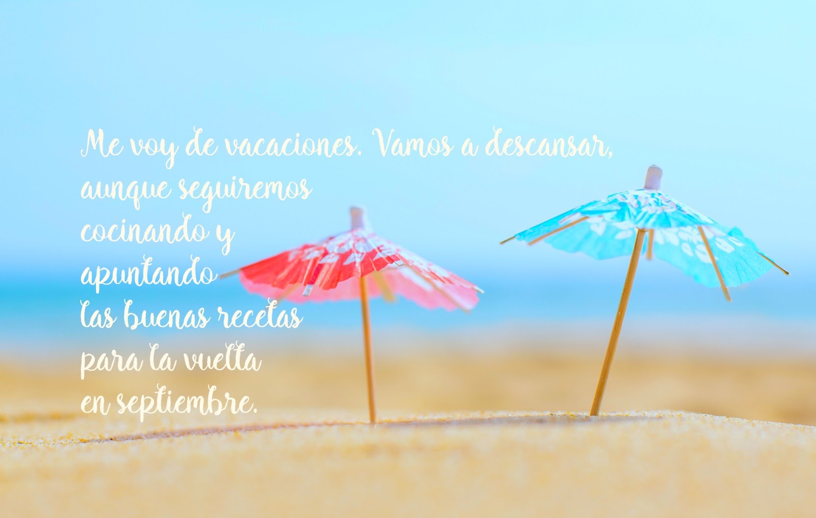 Feliz verano 2019 | La Taza de Loza