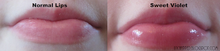 Unchapped- Lip Balm Reviews: Burt's Bees Tinted Lip Balm Review ...