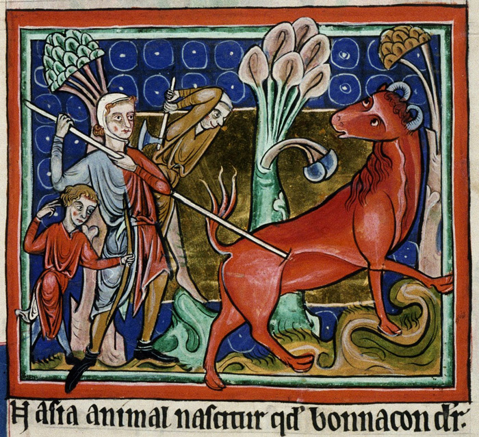 My Albion: Ignorance and Experience: An Illuminator's Trajectory