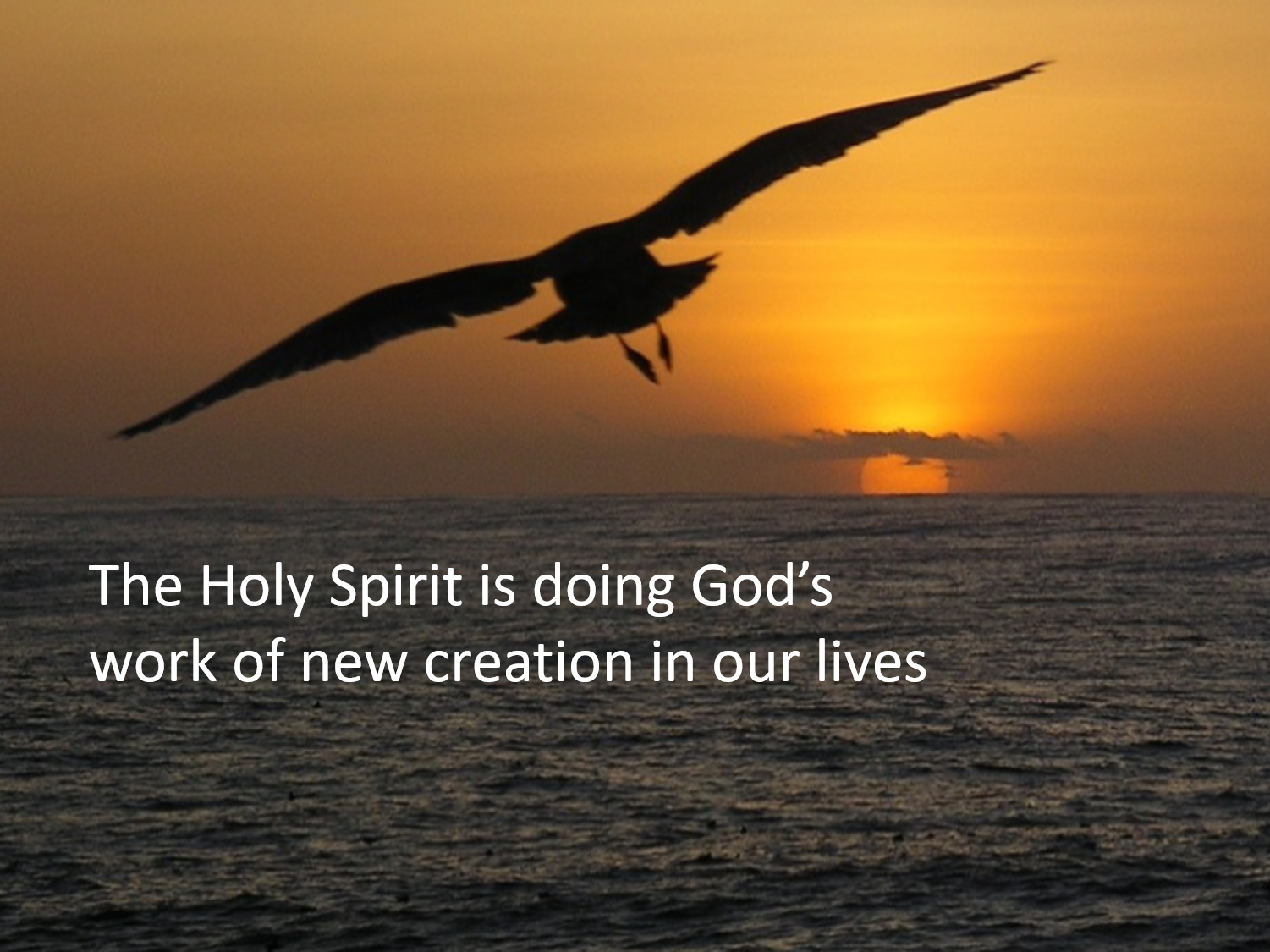 HOW IN THE WORLD!!: The Holy Spirit in Creation and new creation ...