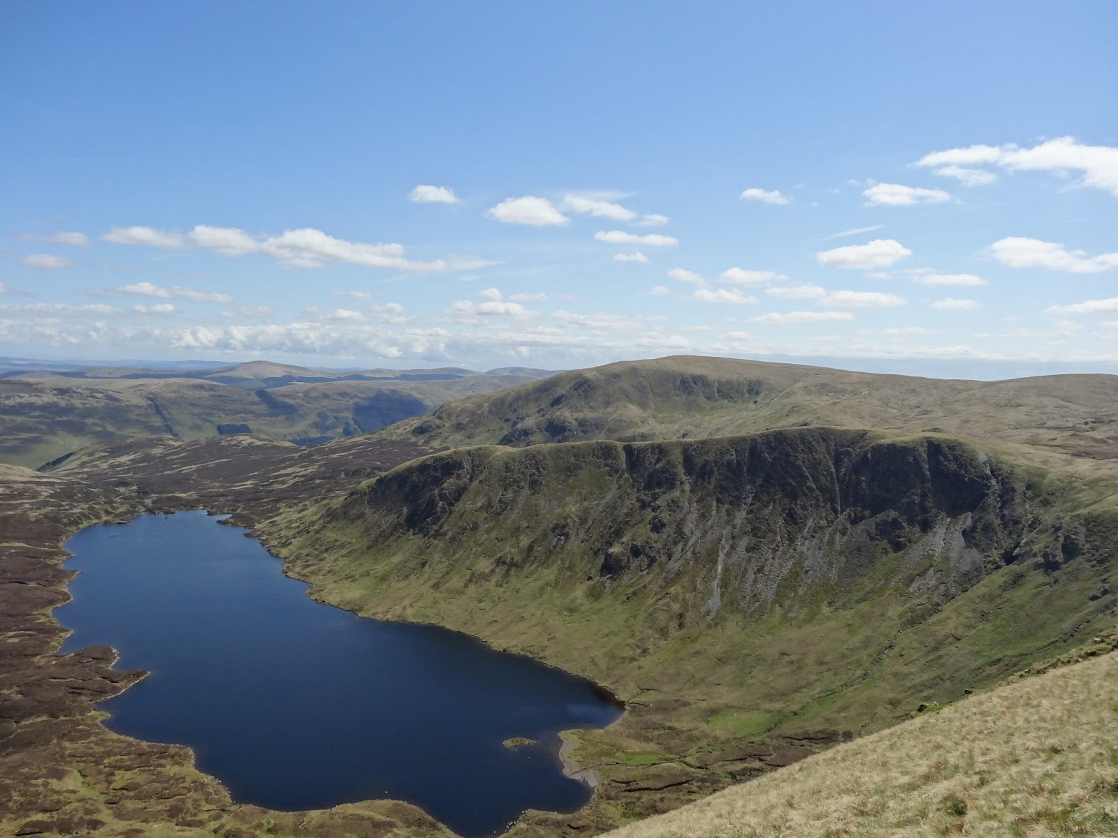 White Coomb - Alchetron, The Free Social Encyclopedia