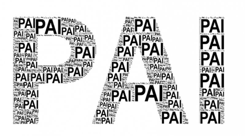 Jovem Jornalista: Pai: significado, função e papel social