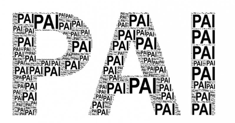 Jovem Jornalista: Pai: significado, função e papel social