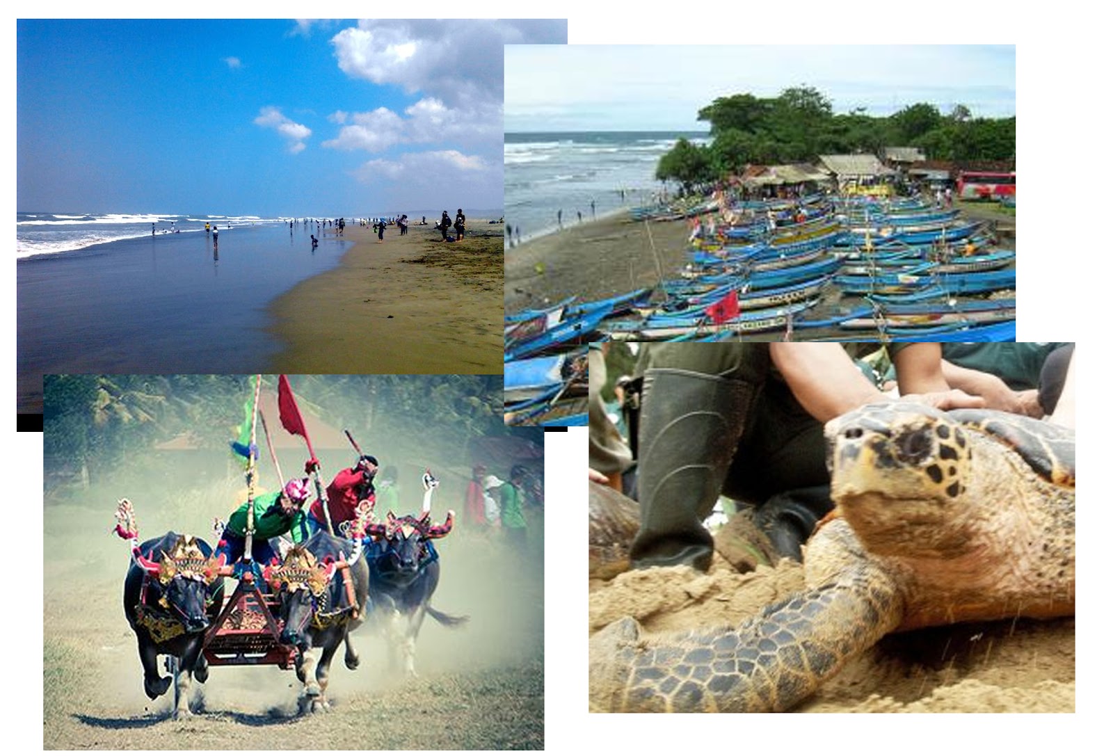 Keindahan Pantai Cipatujah - Tasikmalaya - IRAWAN RENT A CAR