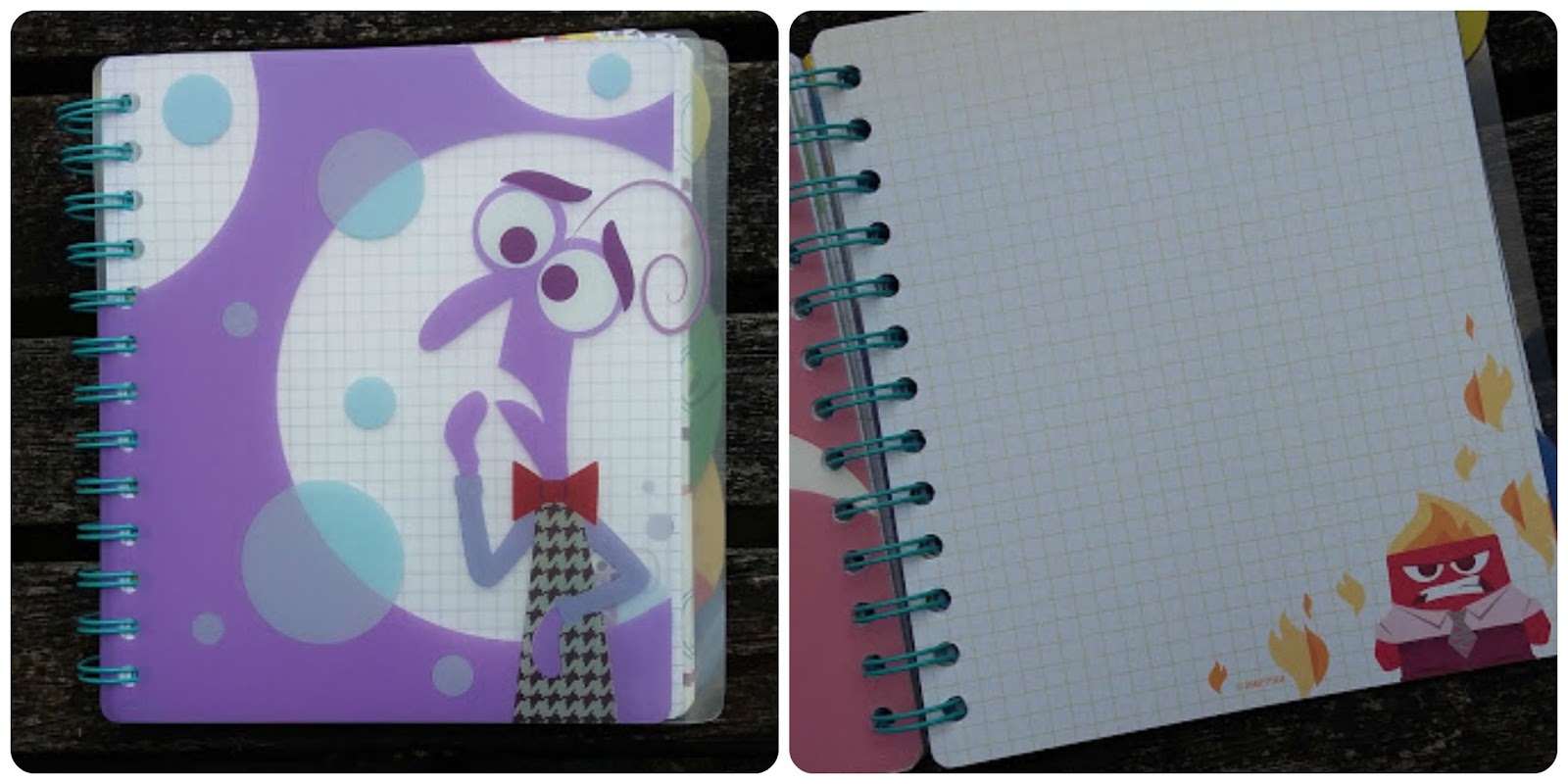 Inside Out at The Disney Store | Red Rose Mummy