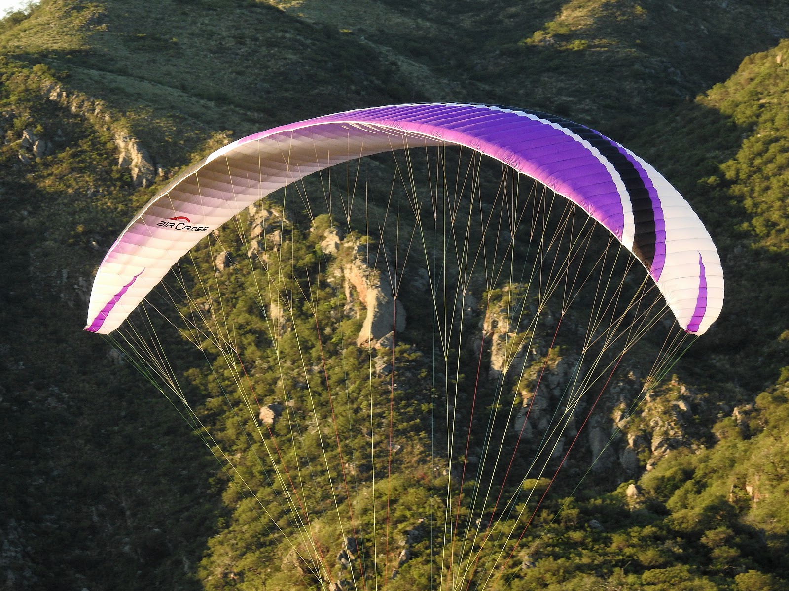 Aves de Lobería.: Cuchi Corral - La Cumbre- Córdoba