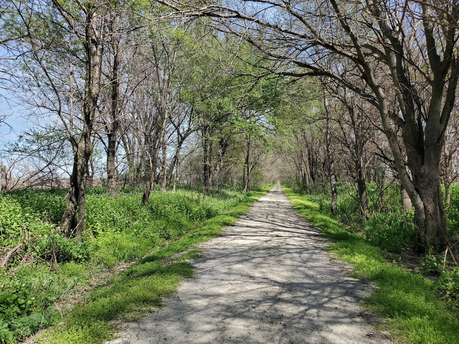 The Hoge Home Place ~: Malvern to Imogene~