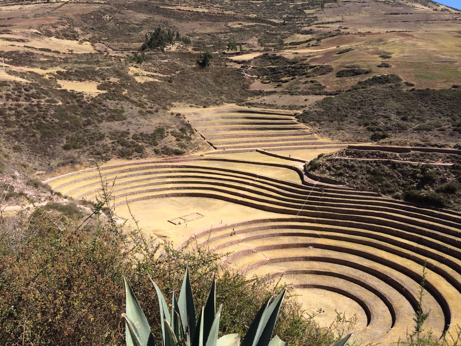 Camino Fotográfico: Moray - Cuzco - Perú