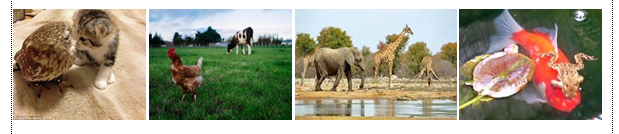 MATERI IPA 7 : INTERAKSI MAKHLUK HIDUP DALAM EKOSISTEM - Media ...