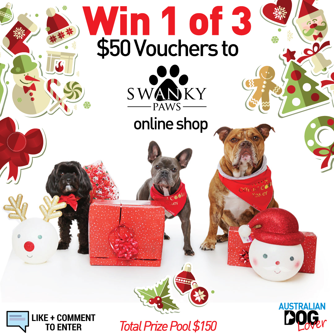 Win Swanky Paws Luxury Dog Accessories Vouchers | Australian Dog Lover
