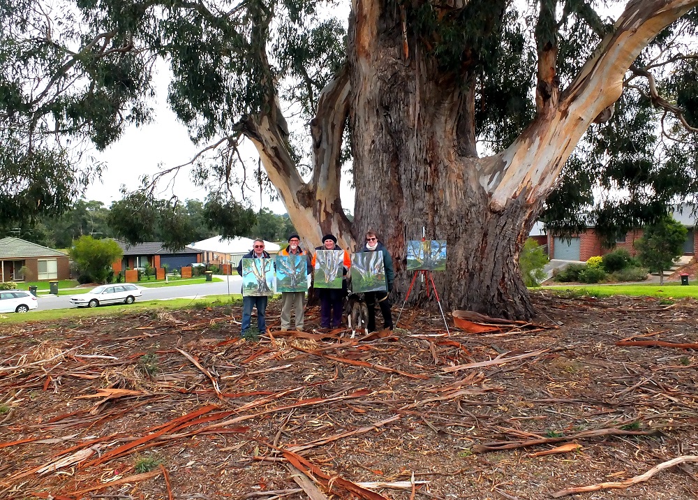 Friends of Drouin's Trees: Settlement Giant