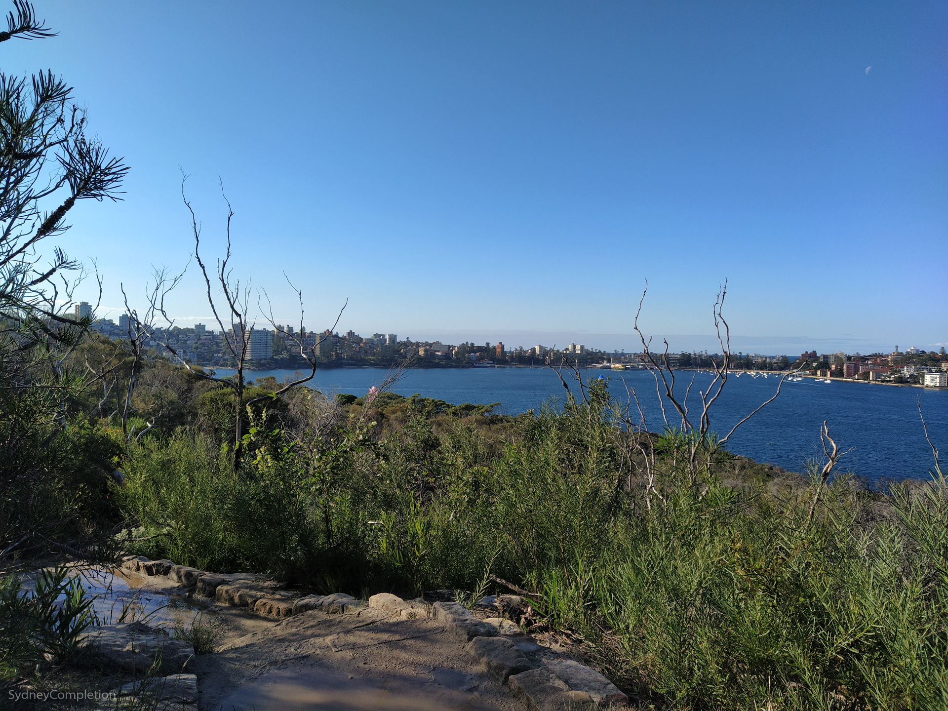 Highs and Lows: Balgowlah Heights and Balgowlah - Completing Sydney