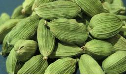 Herbal Medicinal Plants - Ayurveda Sasyangal: Herbal medicines