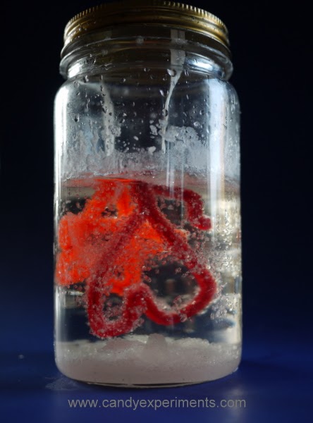 Candy Experiments: Sugar Crystal Christmas Ornaments