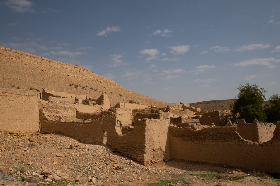 Birds of Saudi Arabia: Old Deira Al Ghat Heritage Village
