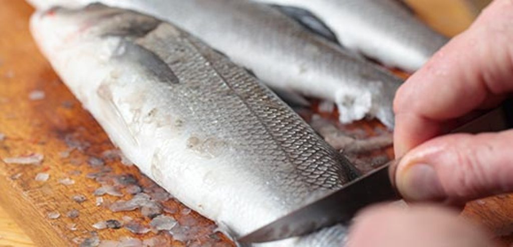 6 Easy Steps How to Fillet a Milkfish Yourself - Milkfish Supplier ...