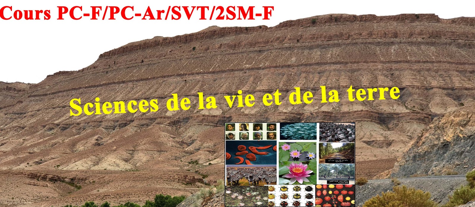 Cours de SVT pour tous les niveaux