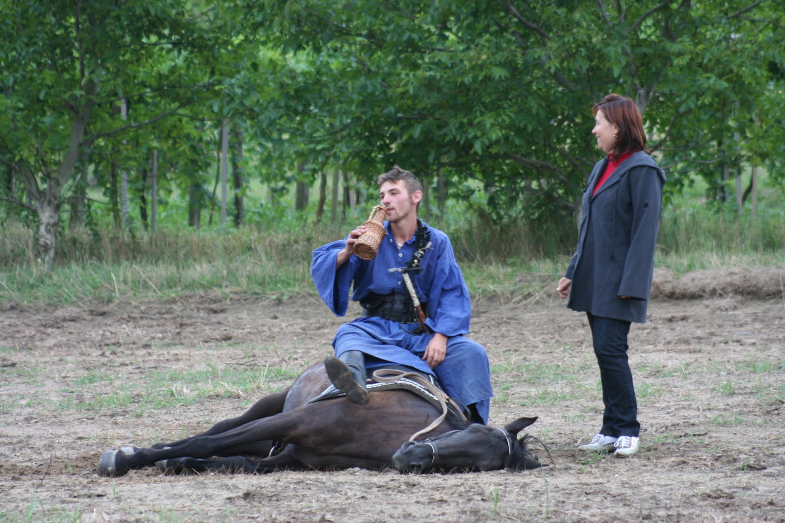 Lovardában: Csikós bemutató