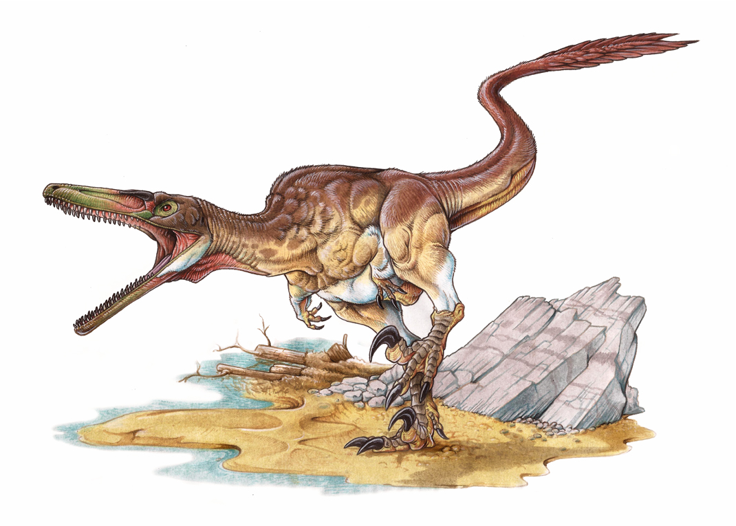 Gabriel Lio - Ilustraciones