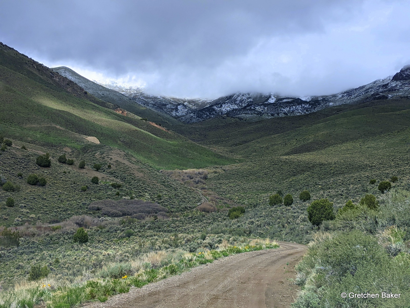 Desert Survivor: Kalamazoo Road, White Pine County, Nevada